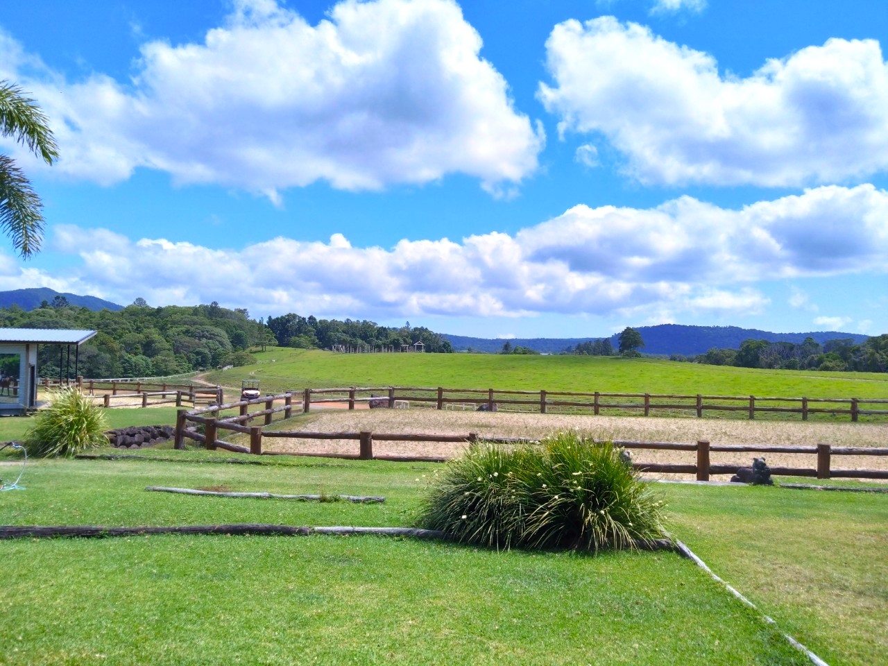 【ジェイさんツアー】ケアンズの乗馬ツアーで大自然を満喫した体験 – Kazuki Room ～ モノづくりブログ